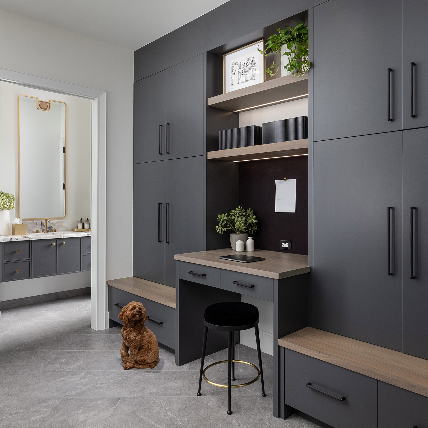 Vision Collection - Quality Custom Cabinetry